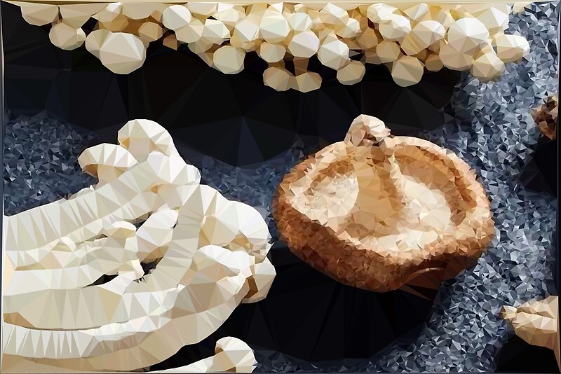 "Mushrooms Low Poly Geometric Triangles" by Vicky Brago-Mitchell ...