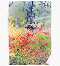 Innisfree Posters | Redbubble