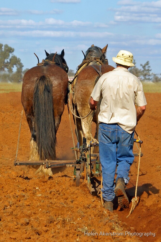 "HAND FURROW PLOW." by Helen Akerstrom Photography | Redbubble