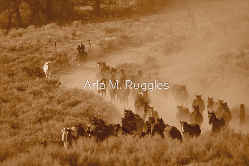 "Winter Trail" by Arla Ruggles | Redbubble
