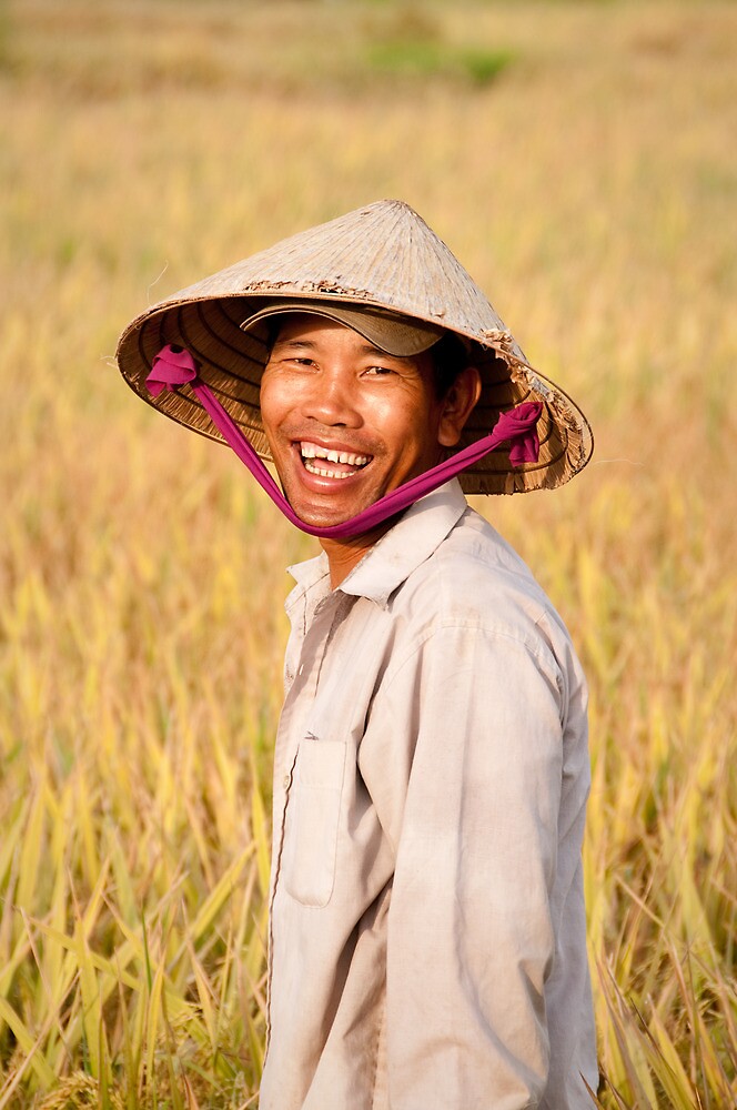 "Rice Farmer, Vietnam" by Kim Maisch | Redbubble
