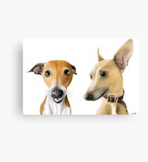Italian Greyhound: Gifts & Merchandise | Redbubble