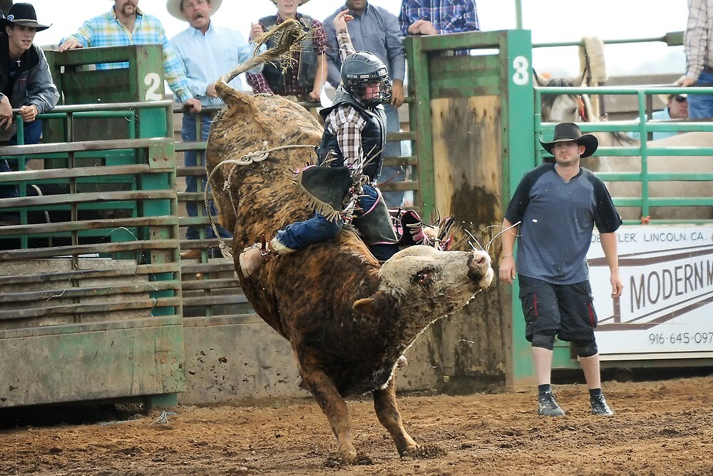 "Young bull rider Lincoln, California high school rodeo" by Tom Roach ...