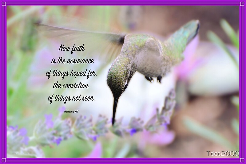 "Scripture Hummingbird" by Tdcc2000 | Redbubble
