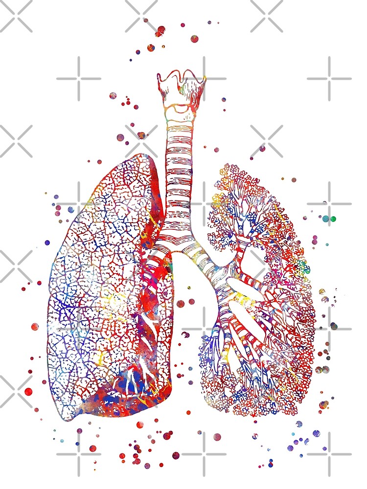 "Lungs, lungs anatomy, medical art, watercolor lungs, abstract lungs ...