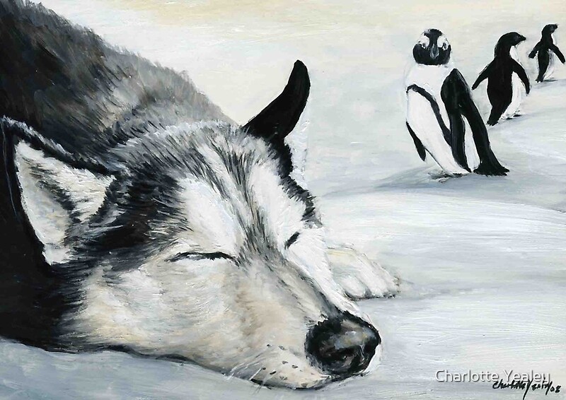 "Siberian Husky Dream" by Charlotte Yealey | Redbubble