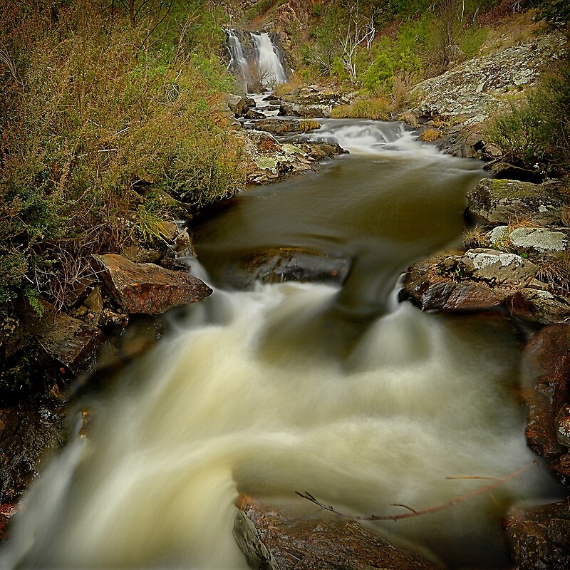 "Victoria River" by Kevin McGennan | Redbubble
