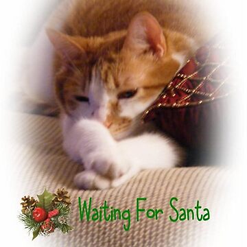 "Waiting For Santa" Greeting Card for Sale by Lynn Marie Sharp | Redbubble