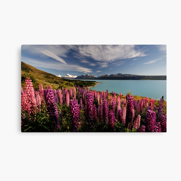 Robert Mullner Shop | Redbubble