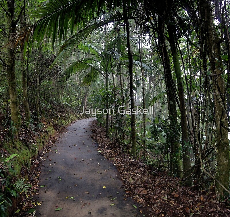 "Rainforest painting" by Jayson Gaskell | Redbubble