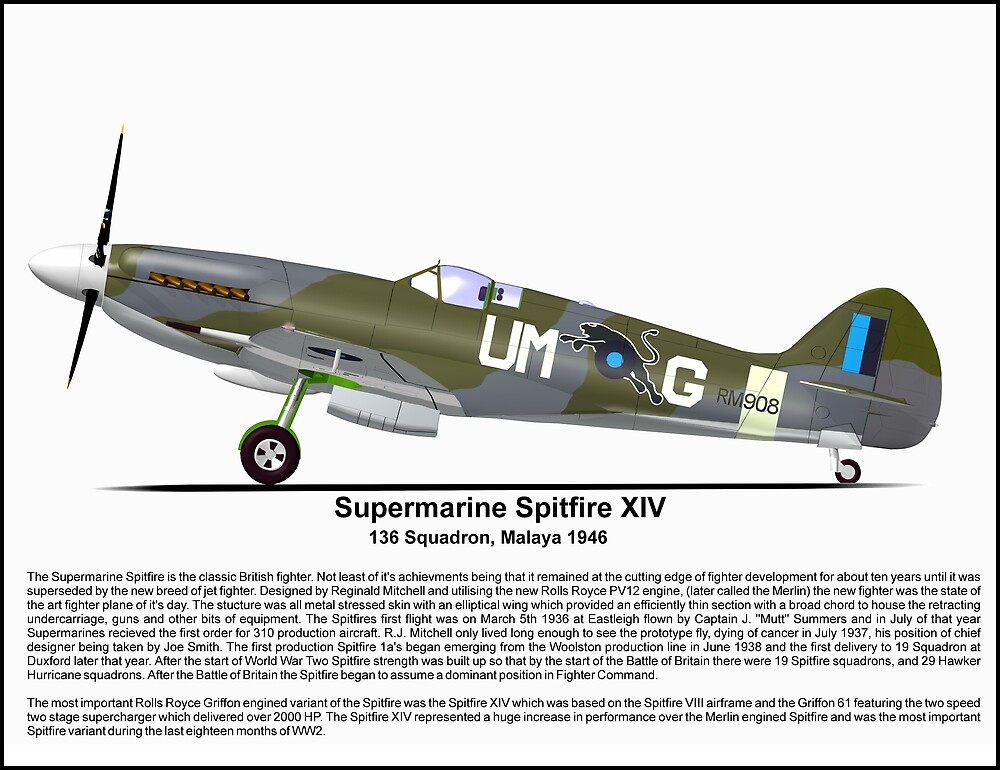 "Supermarine Spitfire XIV Profile" by coldwarwarrior | Redbubble