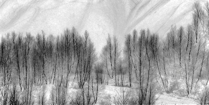 "Culm Bank" by Jim Cook | Redbubble