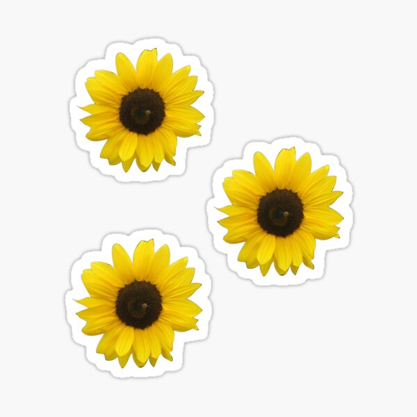 Small Sunflower Stickers | Redbubble