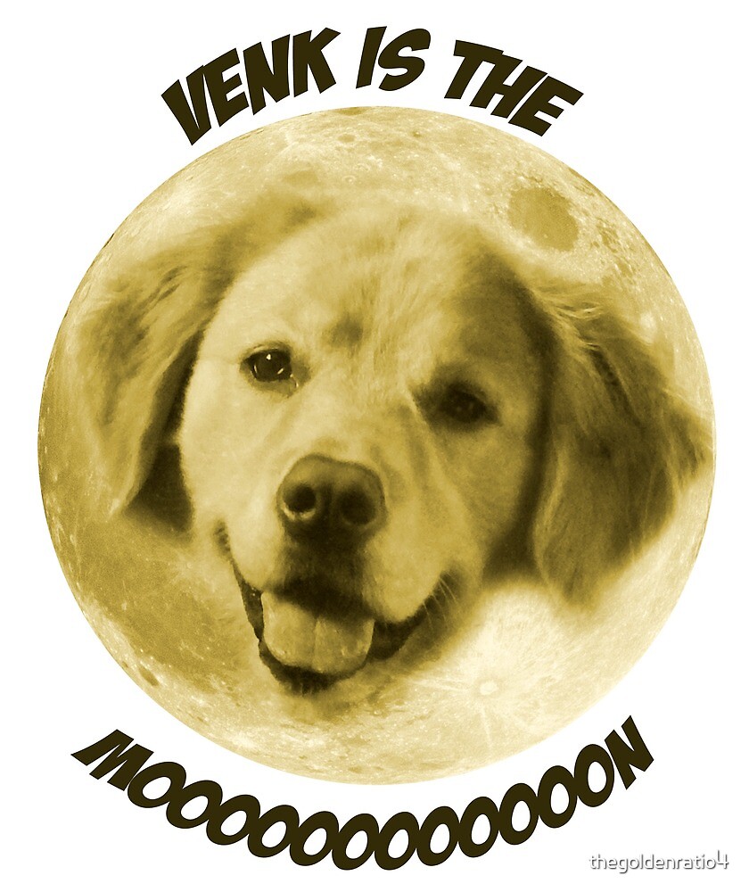 "Venk is the moon" by thegoldenratio4 | Redbubble