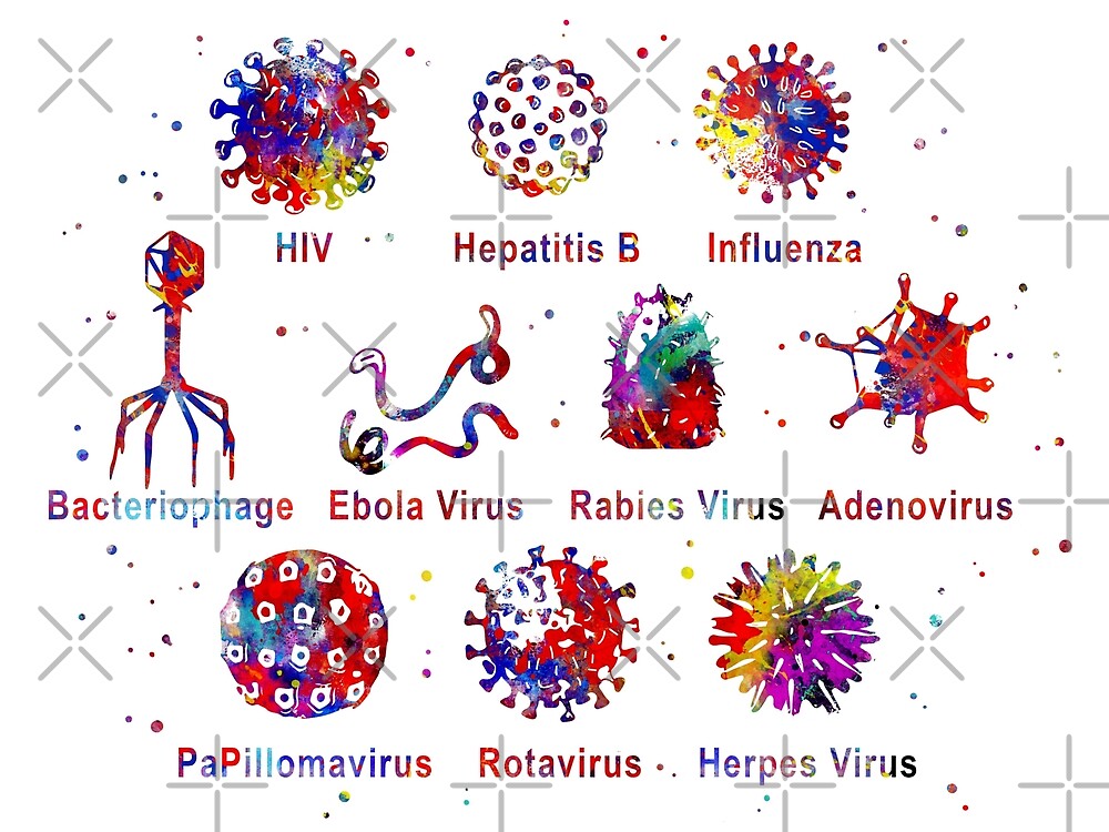 "Diagram showing different kinds of viruses," by Rosaliartbook | Redbubble
