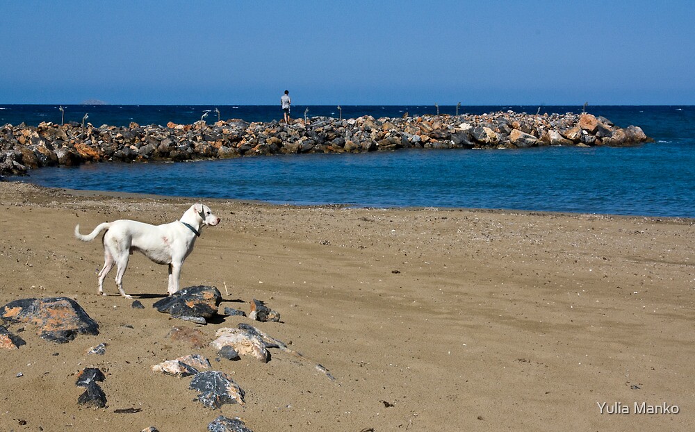 "A stray dog on the beach on Crete, Greece" by Yulia Manko | Redbubble