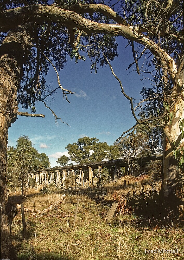 "Pyalong_Railway_viaduct_Heathcote_line Victoria in 1987 almost 100 ...