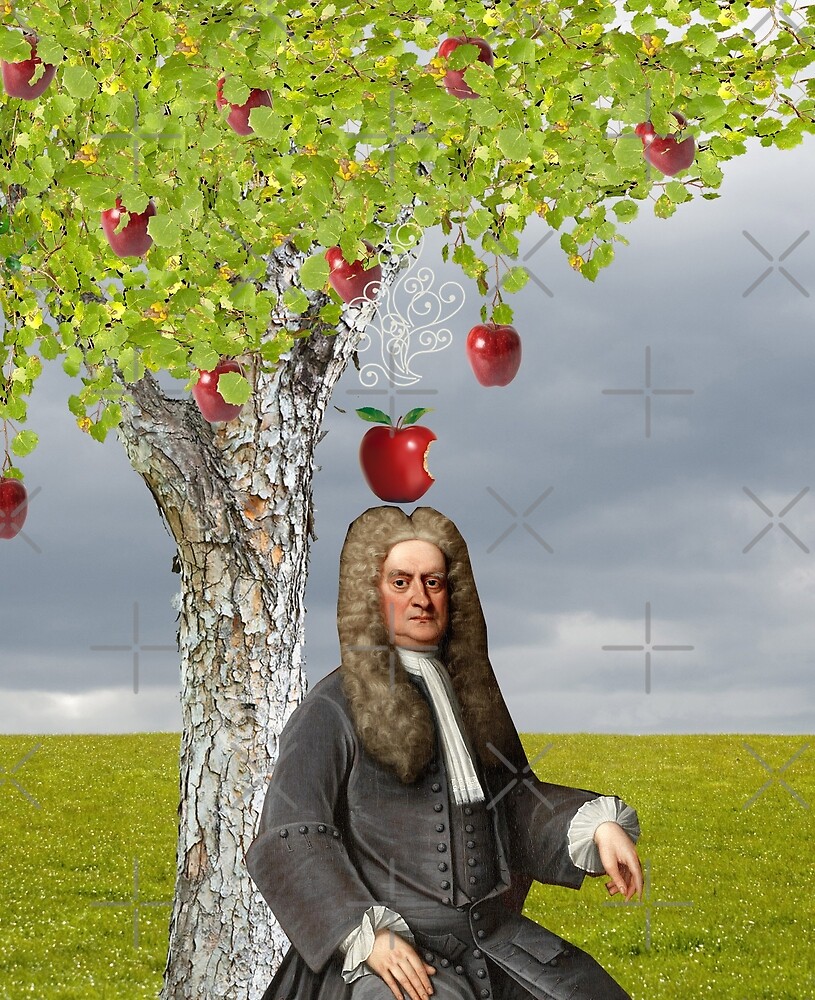 "Isaac Newton Apple Tree" by red-leaf | Redbubble