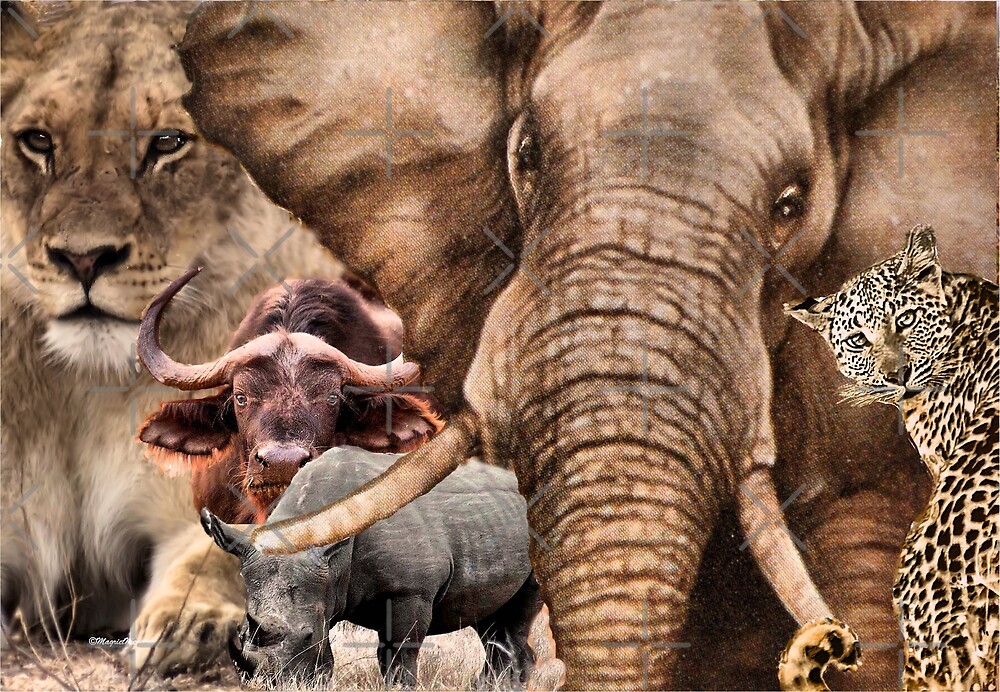 "A COLLAGE OF AFRICA'S "BIG 5" - " by Magriet Meintjes | Redbubble
