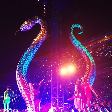 "Reputation Tour Snake" Graphic T-Shirt for Sale by allieweek | Redbubble