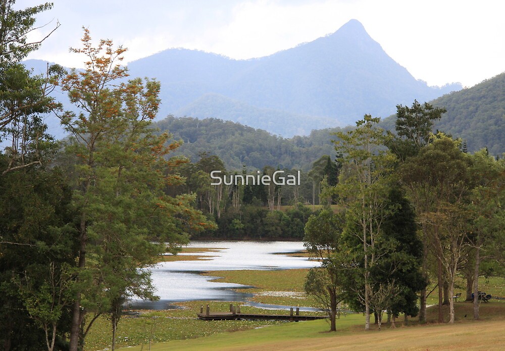 "NSW: Mt Warning - Crams Farm Recreation Area " by SunnieGal | Redbubble