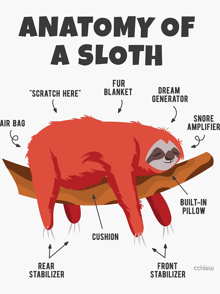 "Anatomy of a Sloth" Sticker by cchiaw | Redbubble