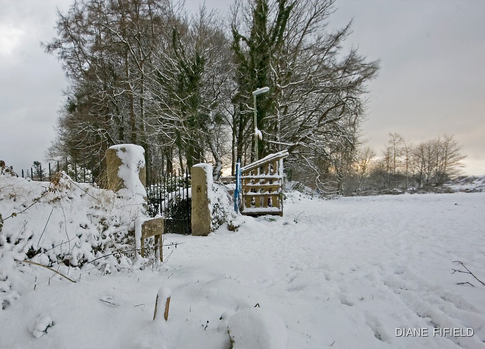 "Snow Scene Yelverton, Dartmoor" by DIANE FIFIELD | Redbubble