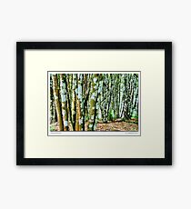 Sassafras: Gifts & Merchandise | Redbubble