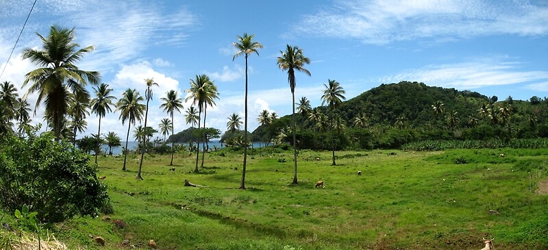 "a wonderful Gambia landscape" by beautifulscenes | Redbubble