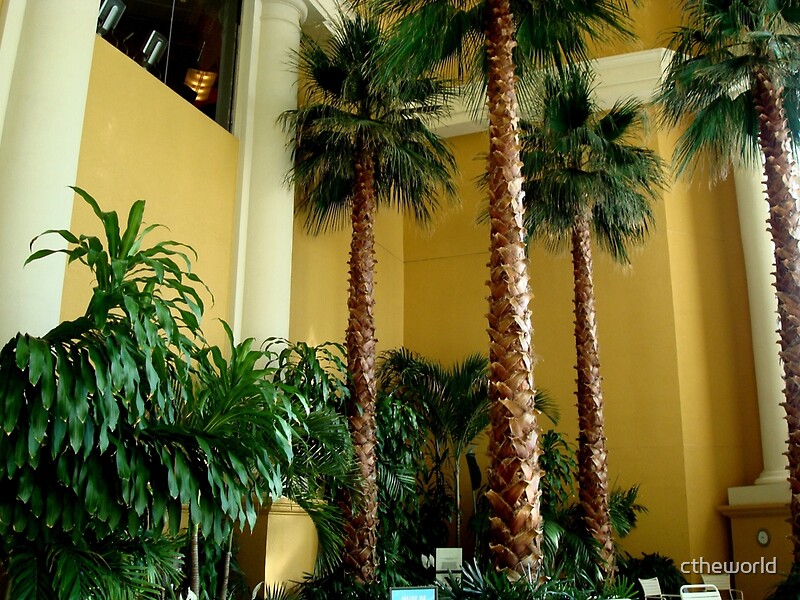 "Borgata Pool Palms (indoor trees)" by ctheworld | Redbubble