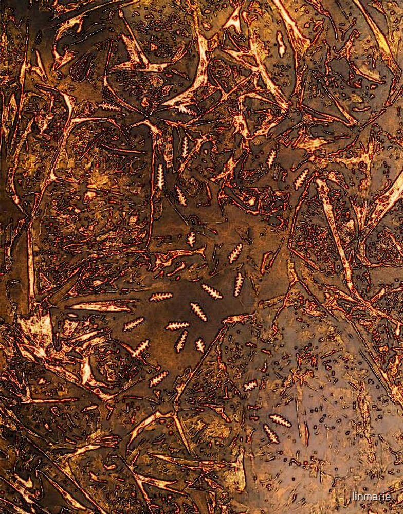 "Amber-Fossil Sap" by linmarie | Redbubble