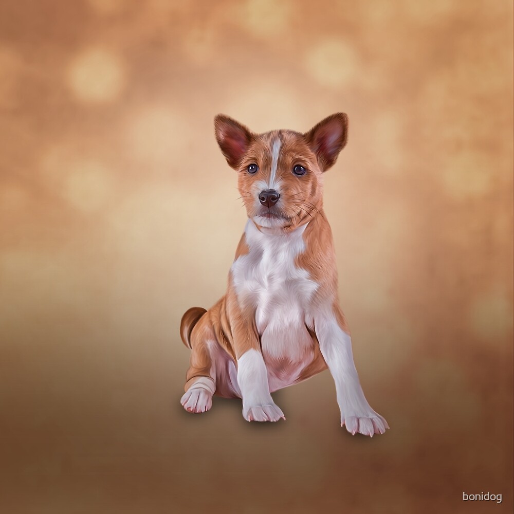 "Drawing puppy breed Basenji" by bonidog | Redbubble