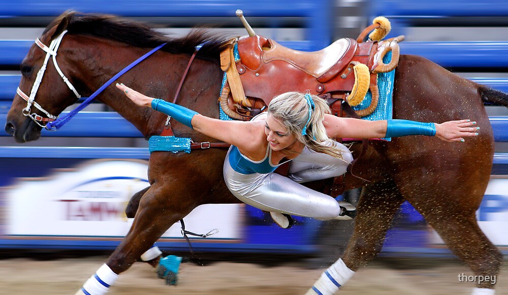 "HighVelocity Trick Riding" by thorpey | Redbubble