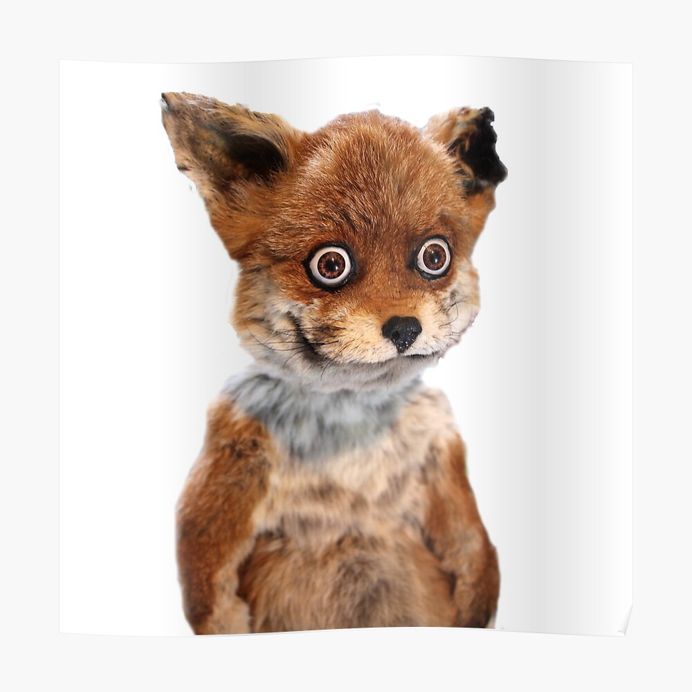 "GEOFF STONED FOX TAXIDERMY MEME ADELE MORSE" Poster von Adelemorse ...