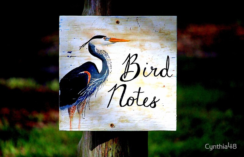 "Bird Notes Sign" by Cynthia48 | Redbubble