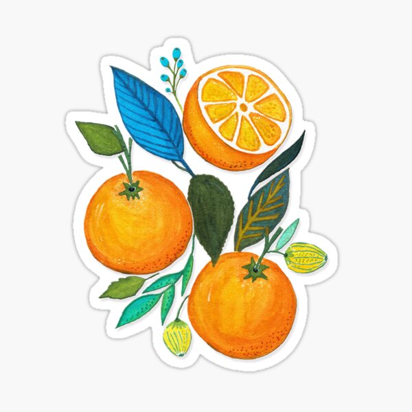 Orange Stickers | Redbubble
