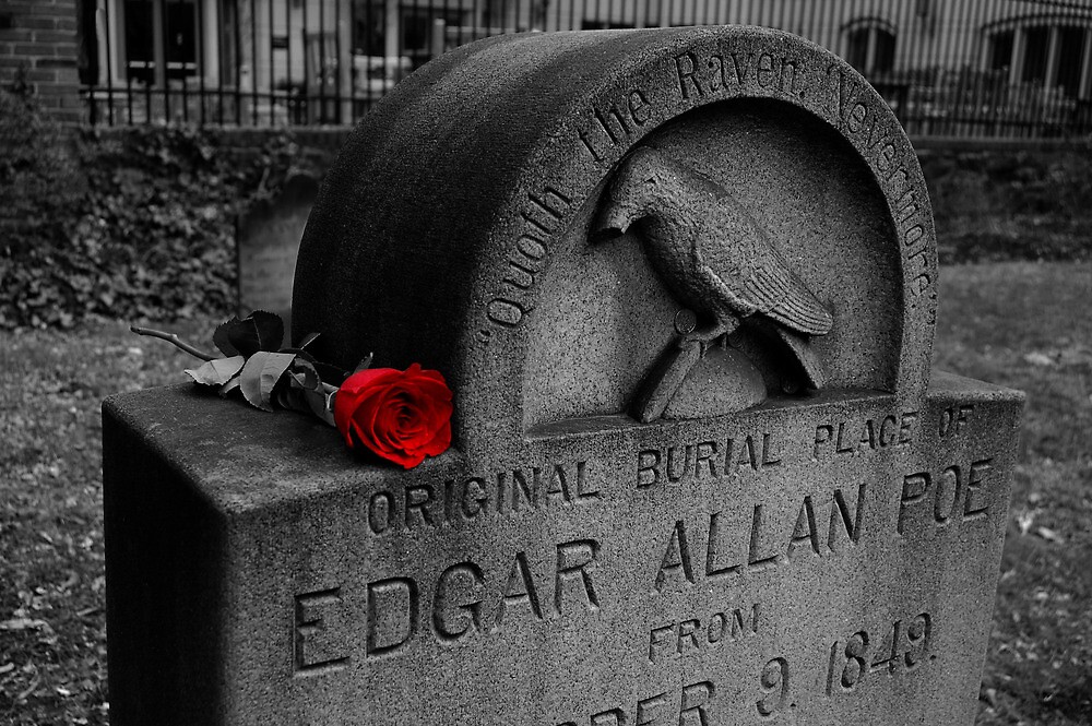 "Poe's Red Rose" by jwhimages | Redbubble