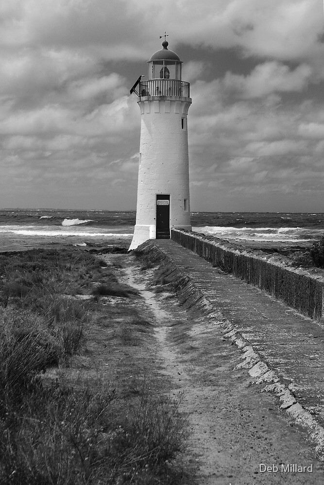 "Por Fairy Light House" by Deb Millard | Redbubble