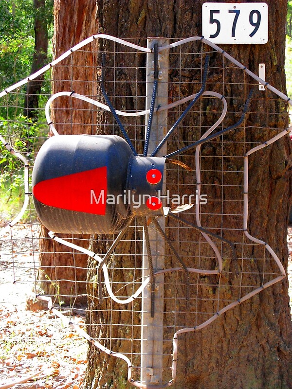 "Redback Spider Mailbox" by Marilyn Harris | Redbubble