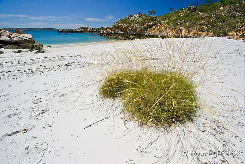 "Silica Beach, Kimberley Coast" by Tim Wootton | Redbubble