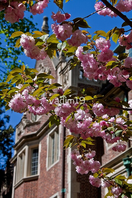 "USA. Philadelphia. University of Pennsylvania. Spring." by vadim19 ...
