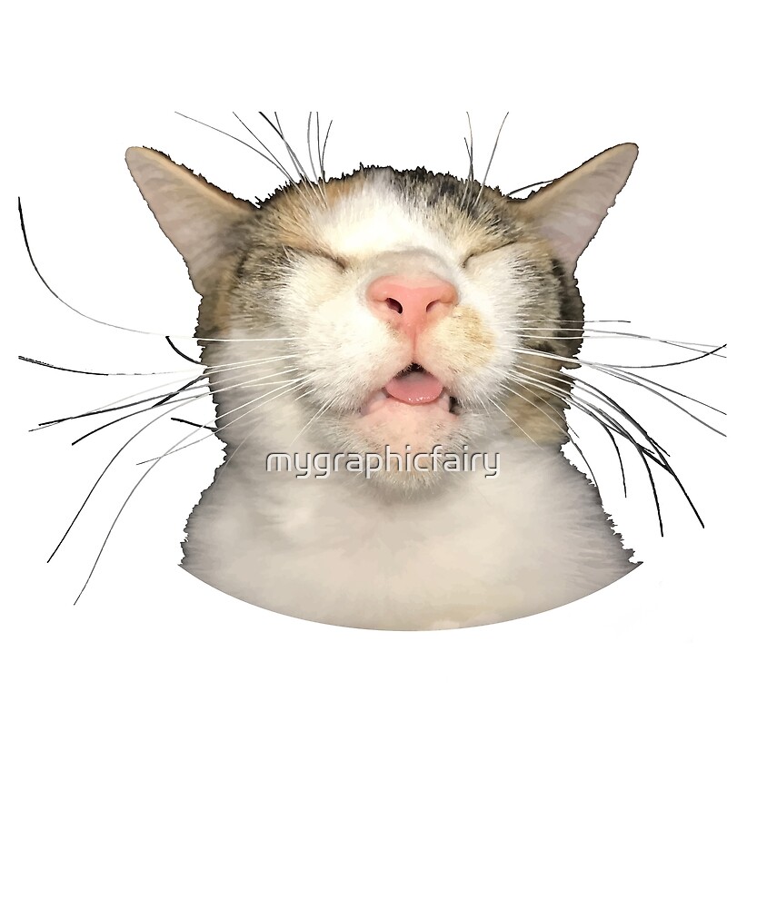 "Derp Cat Face" by mygraphicfairy | Redbubble