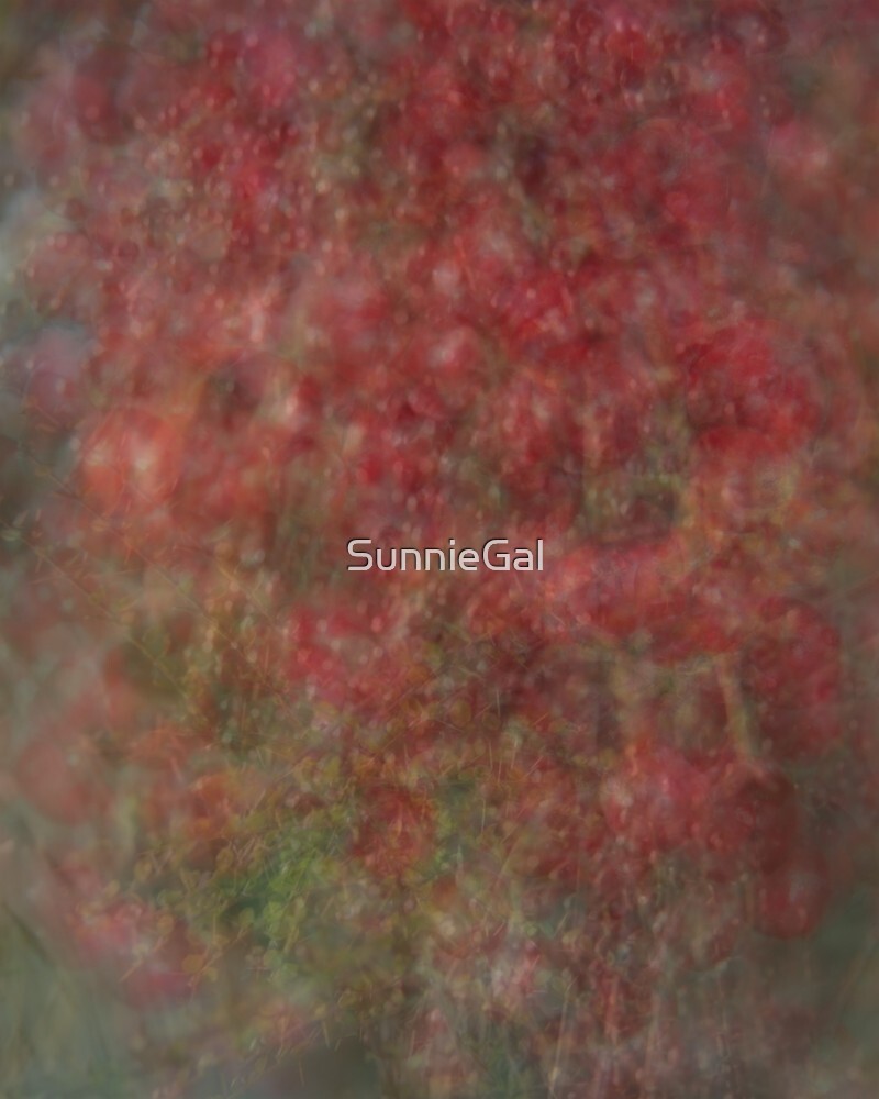 "Berry Collage" by SunnieGal | Redbubble