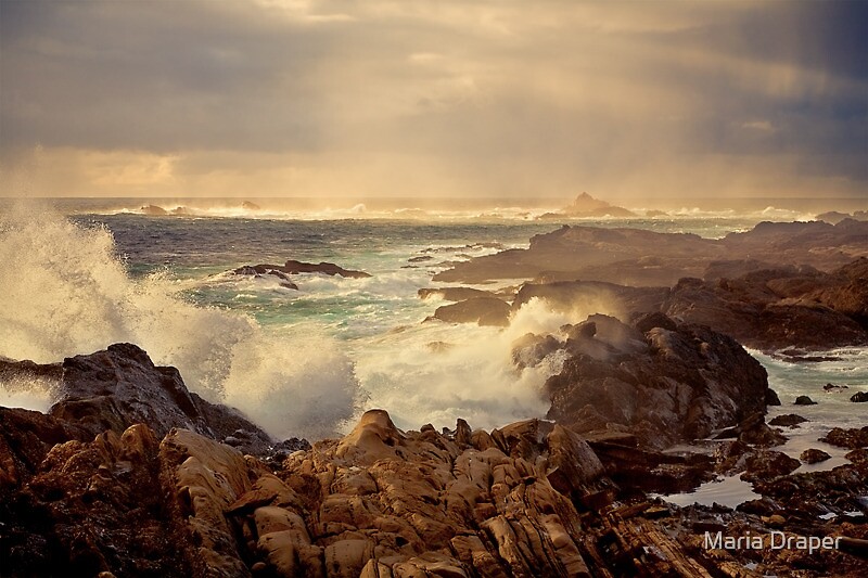 "Weston Beach, Point Lobos, Carmel California" by Maria Draper | Redbubble