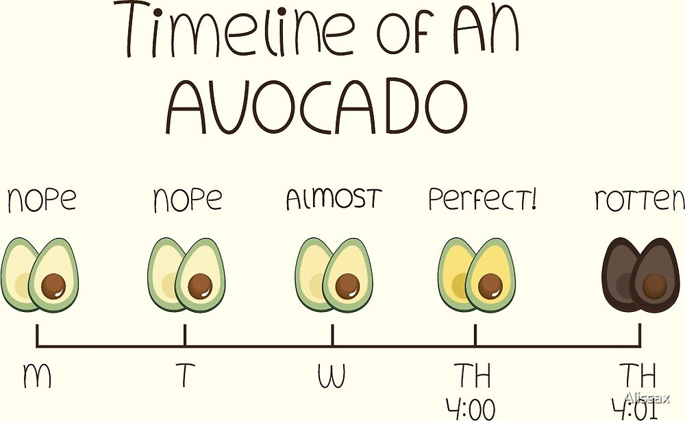 "Timeline of an avocado" by Alissax | Redbubble