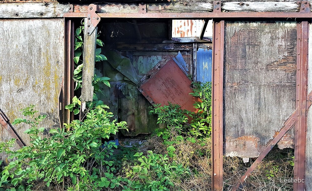 "Ramshackle Shack" by Lesliebc | Redbubble
