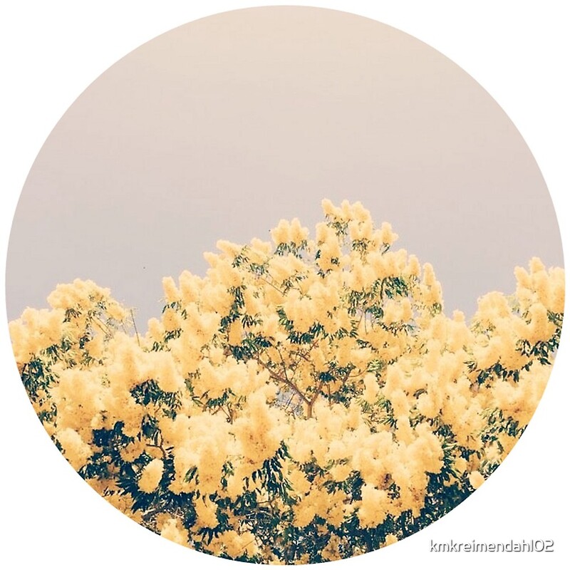 "Aesthetic flower circle design" by kmkreimendahl02 | Redbubble