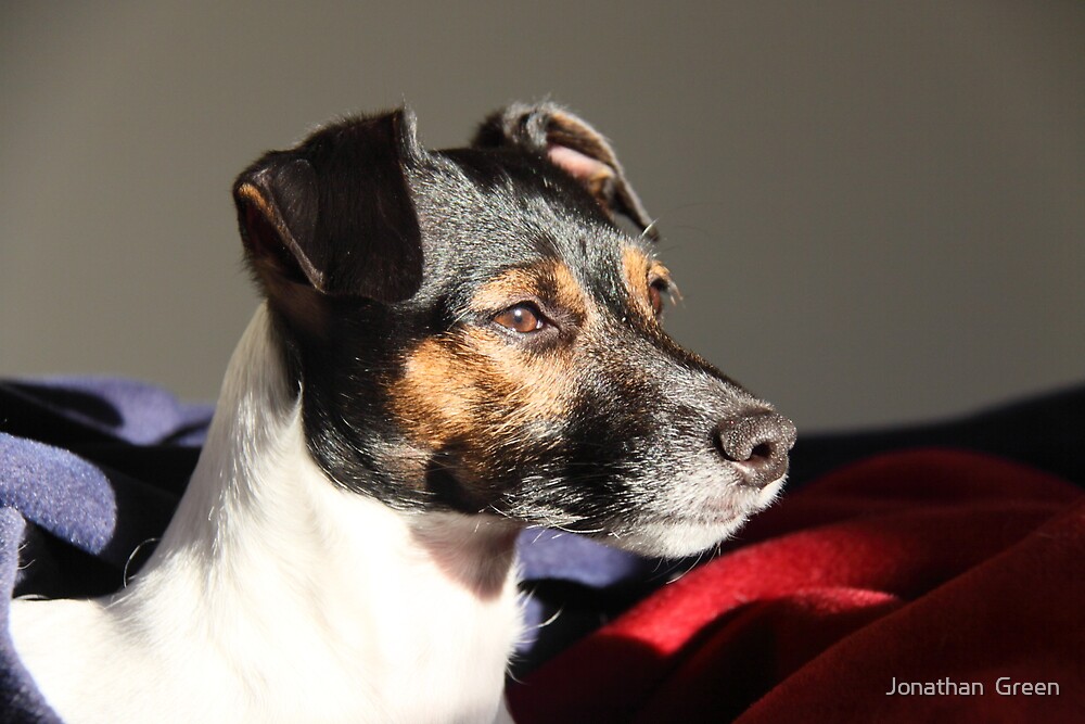 "My Good Side" by Jonathan Green | Redbubble