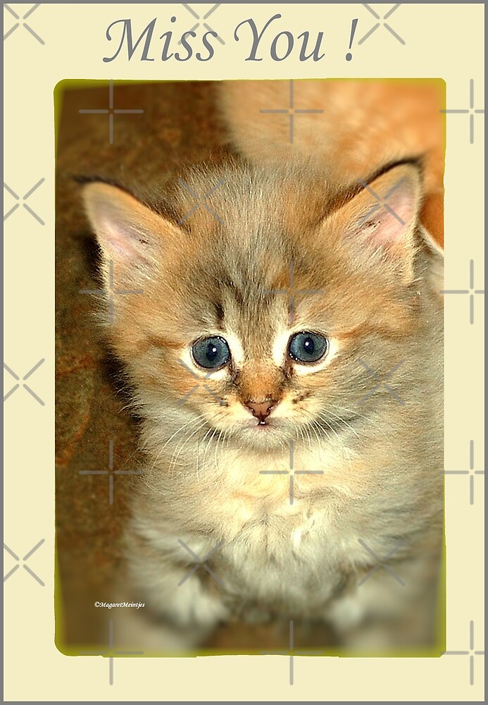 "MISS YOU ! - KITTEN CARD" by Magriet Meintjes | Redbubble