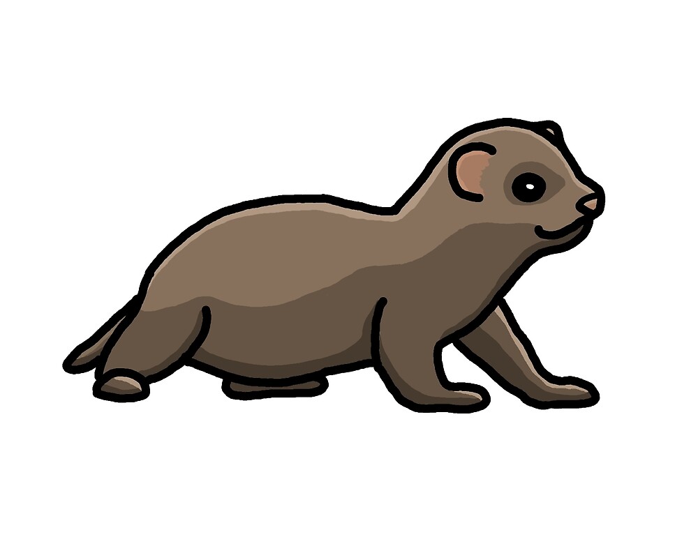 "Ferret, cartoon, drawing" by nijess | Redbubble